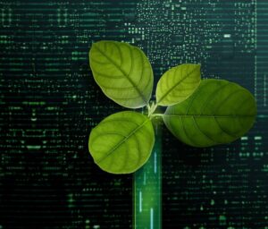 Ict verduurzamen voor de toekomst van je leerlingen - Kennisnet